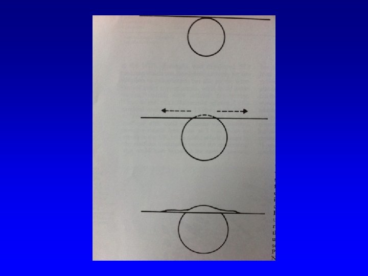 Dr Edward Coughlan Clinical Director Christchurch Sexual Health