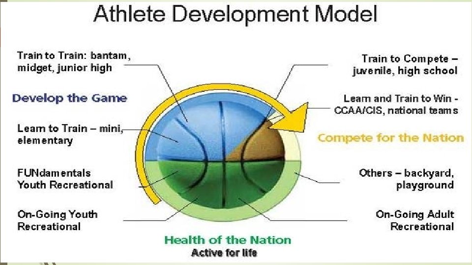 Canada Basketball LTAD By Dylan Marsden and Mathew