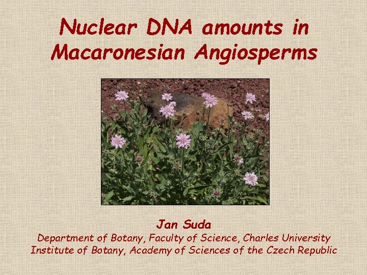 Nuclear DNA amounts in Macaronesian Angiosperms Jan Suda