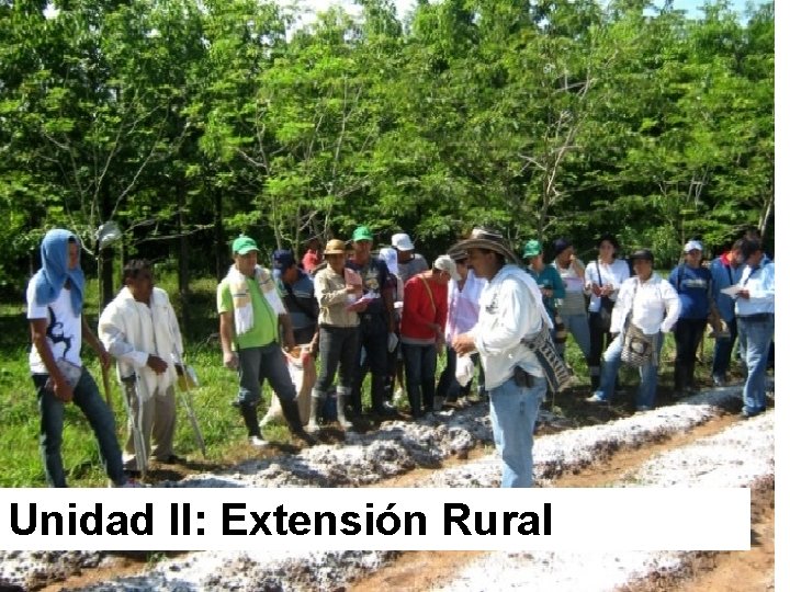 Unidad II Extensin Rural Contenidos Extensin rural Conceptos