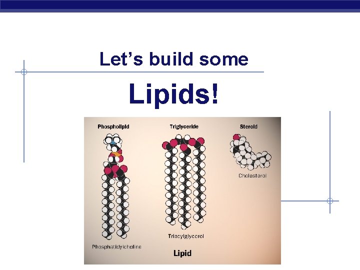 Lipids Modified from Kim Foglia Lipids Lipids are