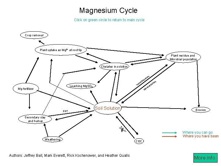 Magnesium Cycle Click on green circle to return