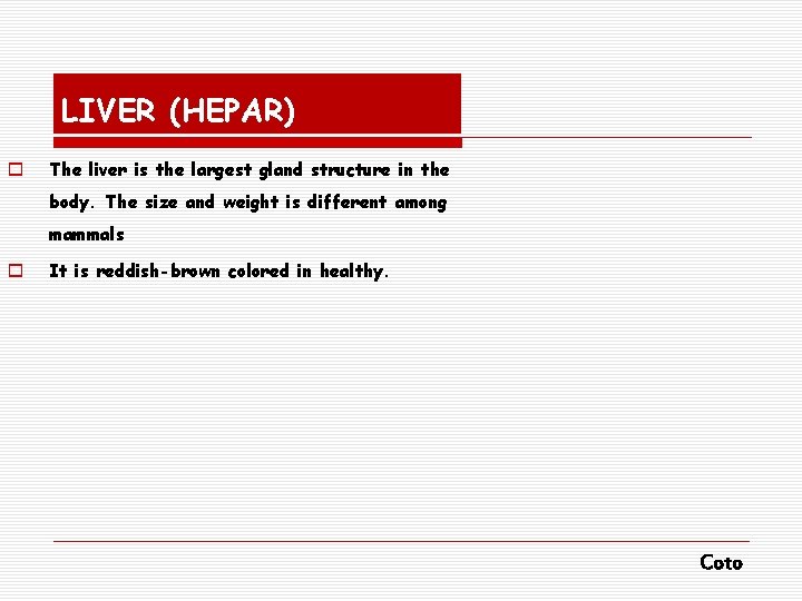 LIVER HEPAR o The liver is the largest
