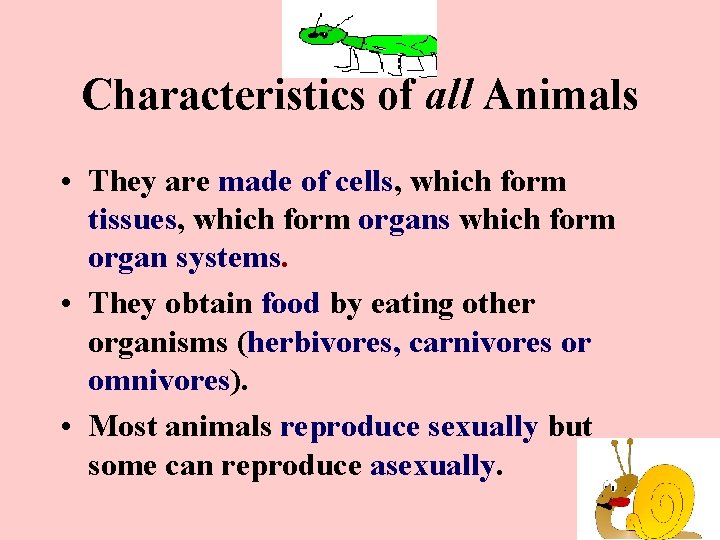 ANIMAL KINGDOM Characteristics of all Animals They are