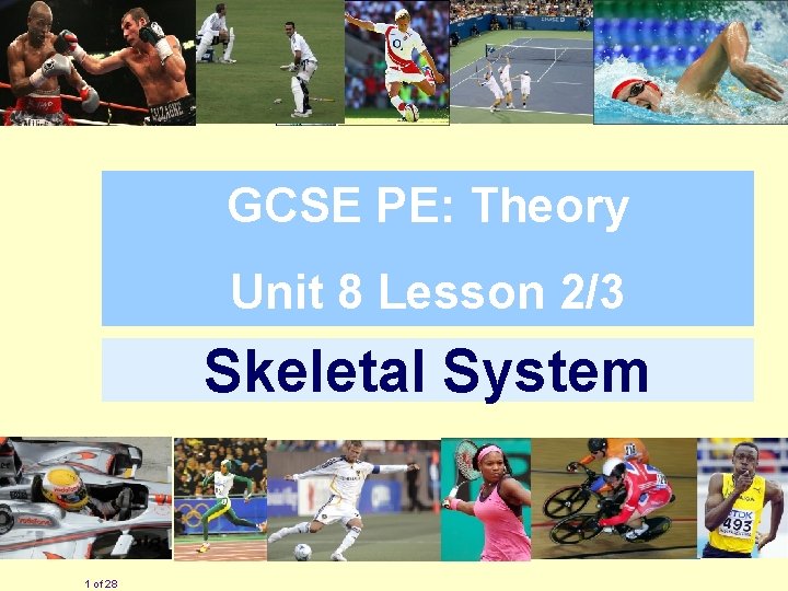 GCSE PE Theory Unit 8 Lesson 23 Skeletal