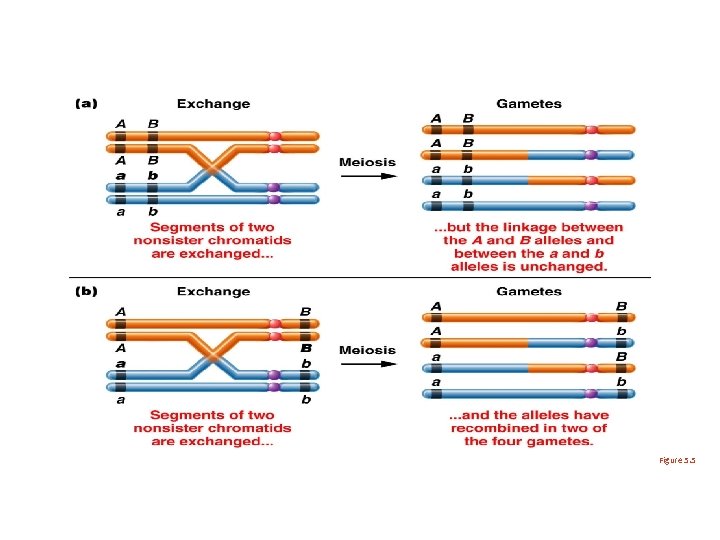 Lecture 27 November 6 th 2019 Any questions