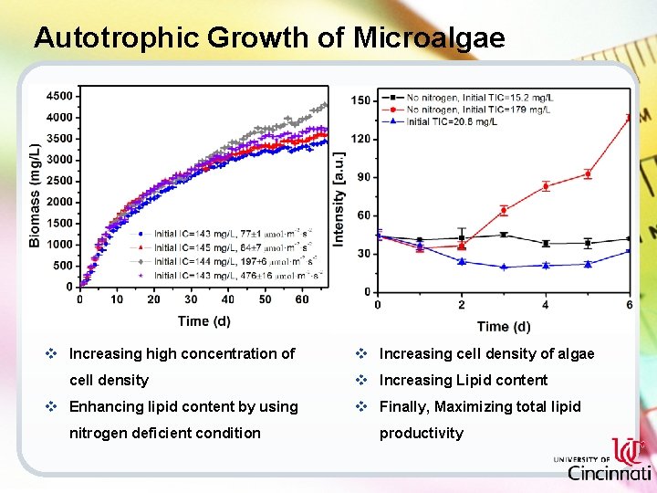 Maximizing Lipids Productivity of Microalgae for Biofuels Production