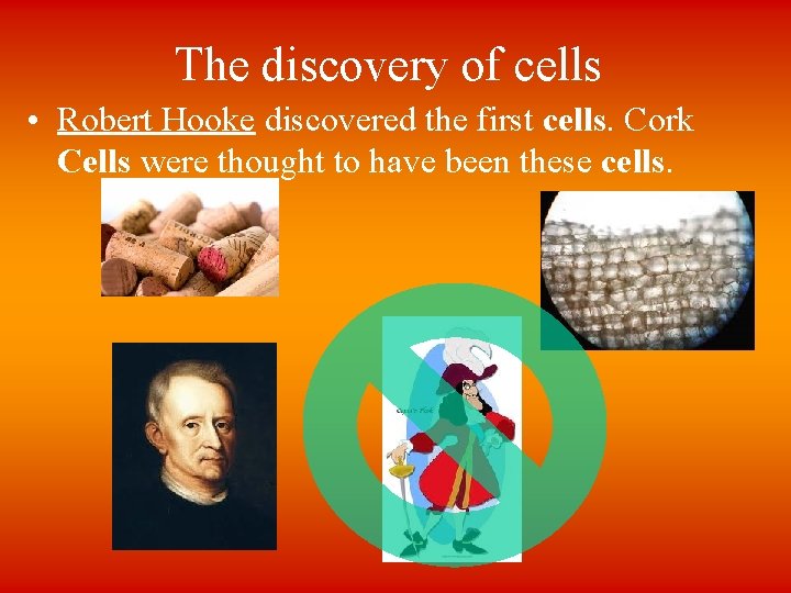 Cell Structure Cells Key Question How are cells