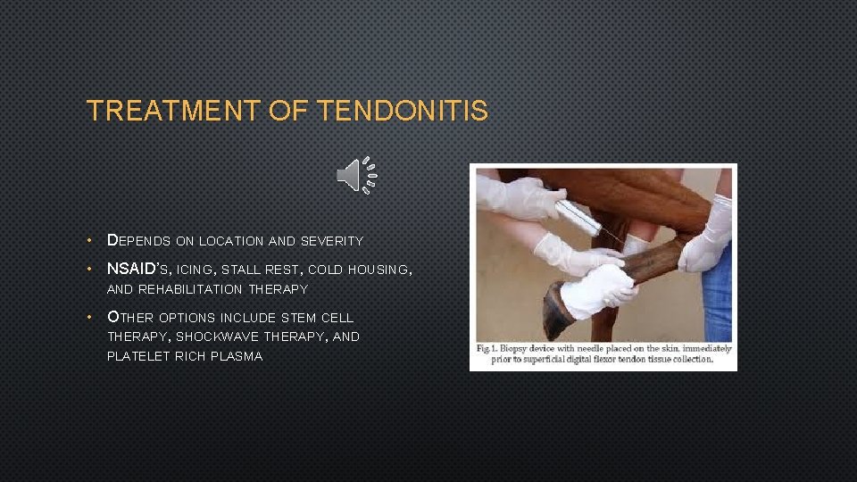 TRAUMATIC TENDONITIS MAYCEE RIDER TARLETON STATE UNIVERSITY RADIOLOGY