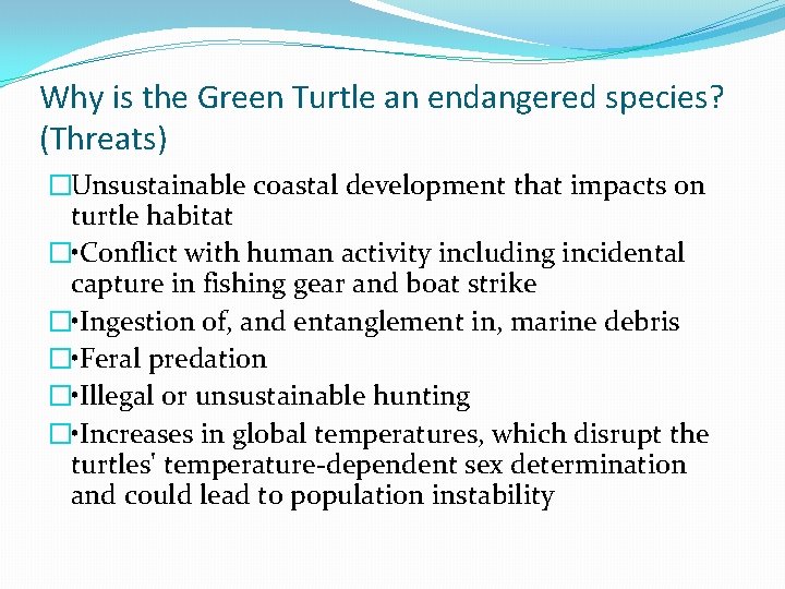 Green Turtles Key Question How can we protect