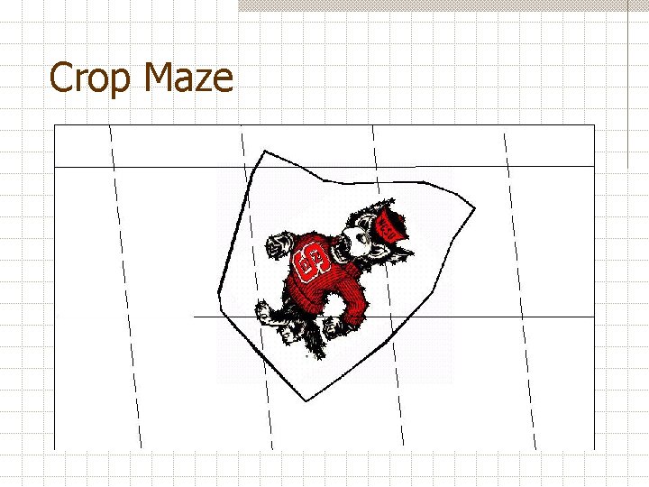 GPSGIS Applications in Agriculture Gary T Roberson Agricultural
