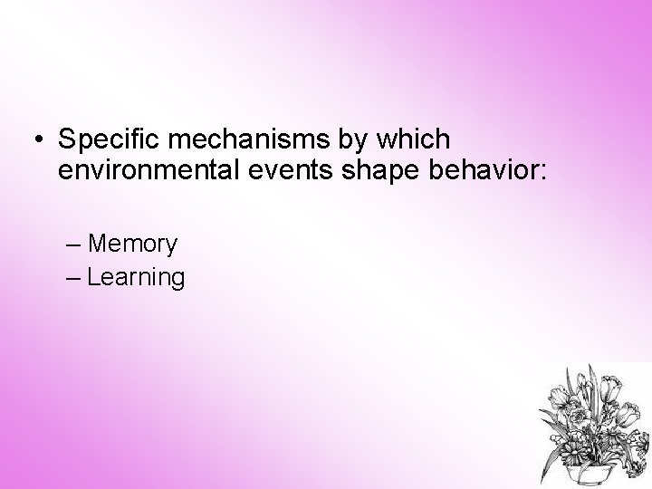 Learning Memory Behavior is the result of interaction