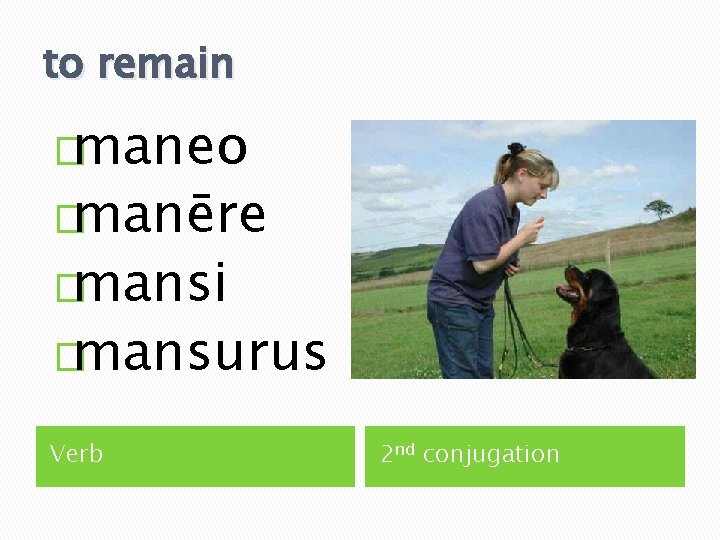 Unit III Vocabulary Lesson XI Caesar in Britanni