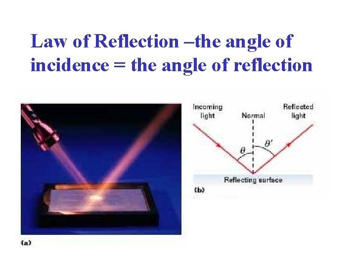 Essential Question How do images form by reflection