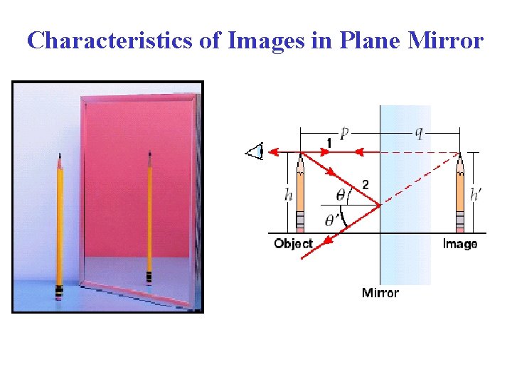Essential Question How do images form by reflection