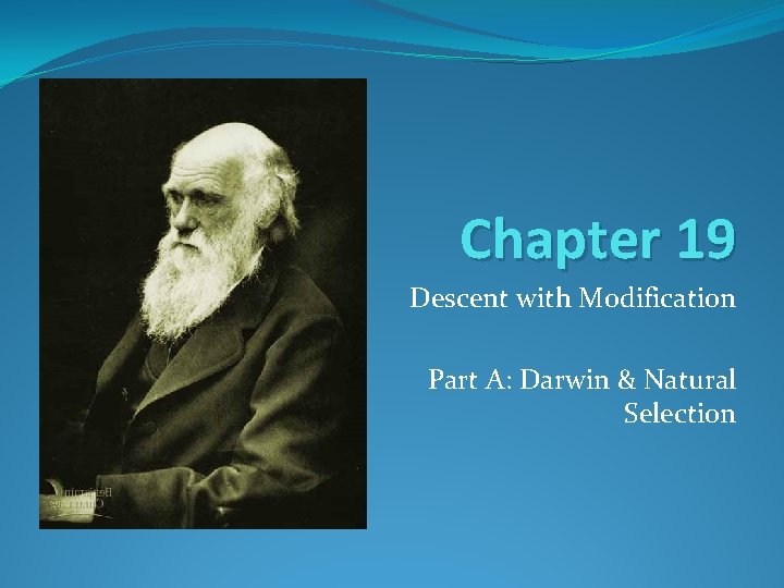 Chapter 19 Descent with Modification Part A Darwin