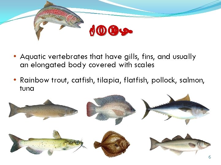 Seafood at Its Best Lesson 1 What Is