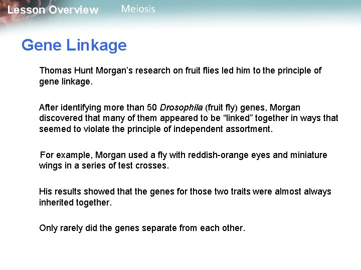 Meiosis 11 4 Lesson Overview Meiosis THINK ABOUT