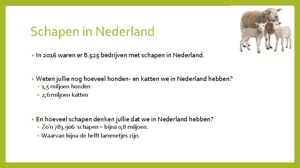 HUISVESTING EN HYGINE Les 2 blok 4 Docent