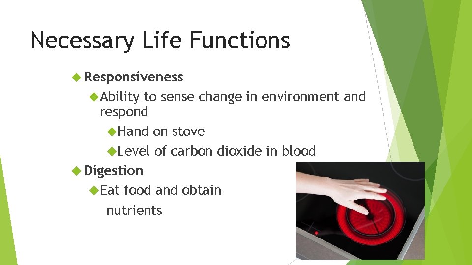 An Orientation of the Human Body Chapter 1