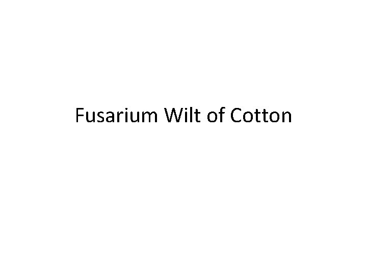 Fusarium Wilt of Cotton Causal Organism Fusarium oxysporum