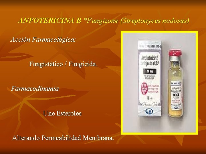 ANTIMICTICOS FACULTAD DE MEDICINA FMBUAP FARMACOLOGA II 2015