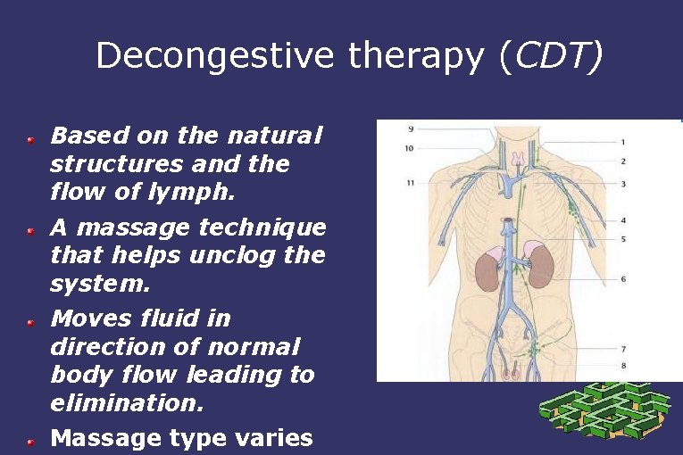 The Need Increased incidence of early cancer Better