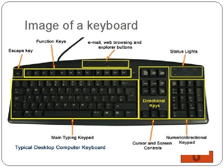 Module 5 Unit 2 Understanding Input Devices Teacher