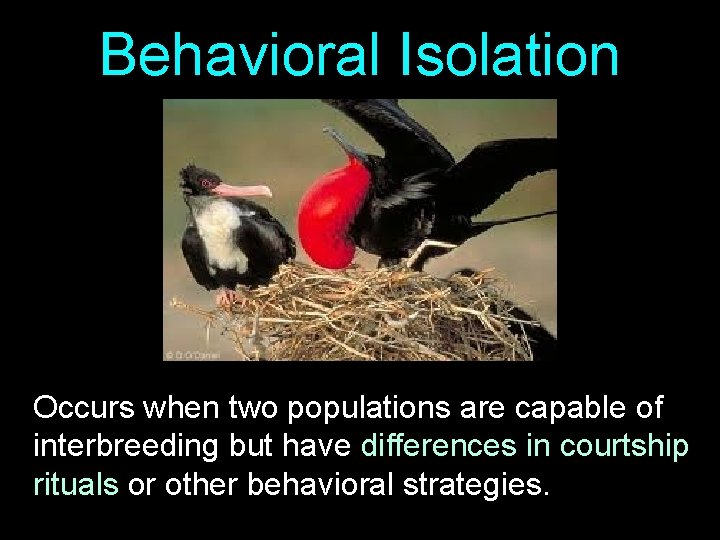 Speciation Learning Objectives Identify the conditions necessary for