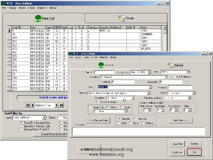 iTree What is it and How do you