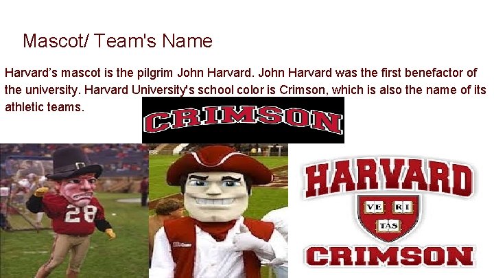 Harvard University By Jose Marquina Location Harvard university