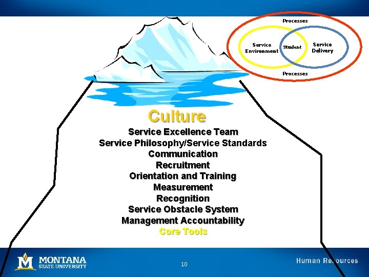 Process ReDesign Through the Service Excellence Lens Brandi