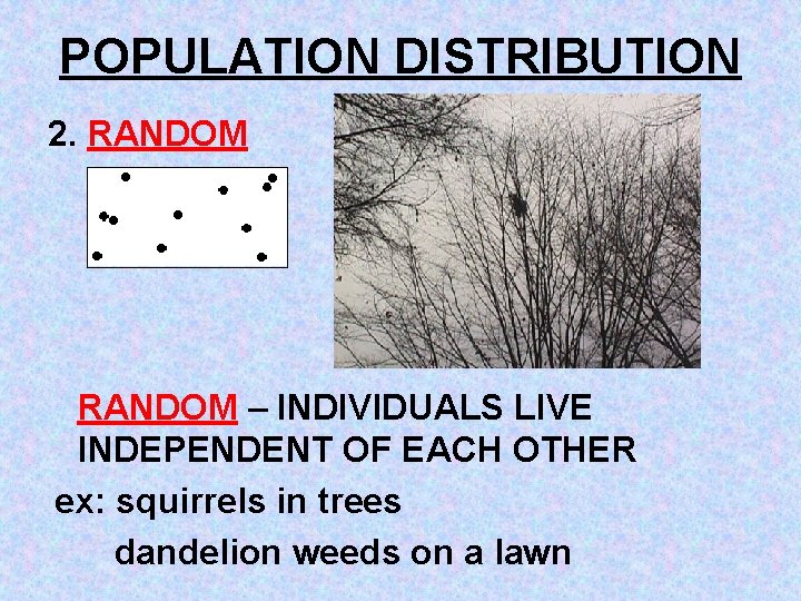 POPULATION ECOLOGY WHY DO SPECIES LOOK AND BEHAVE