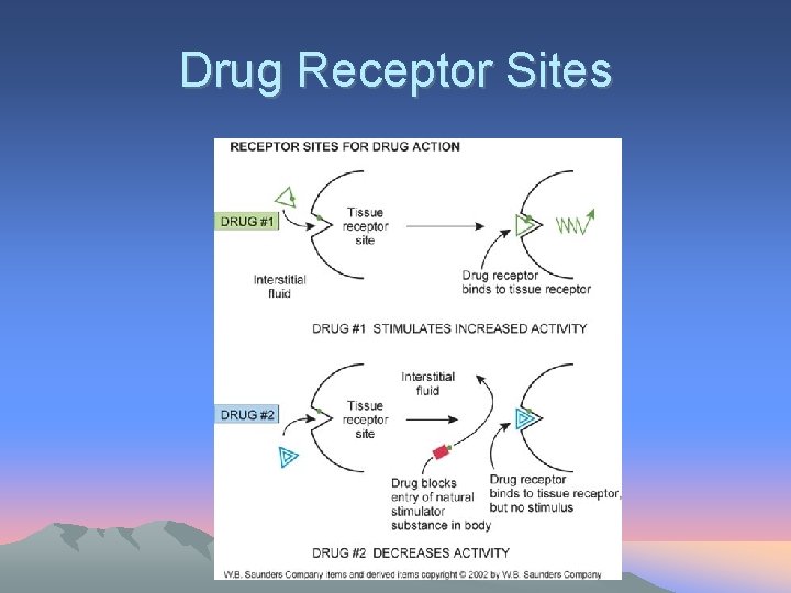 Introduction to Basic Pharmacology and Selected Therapies Chapter