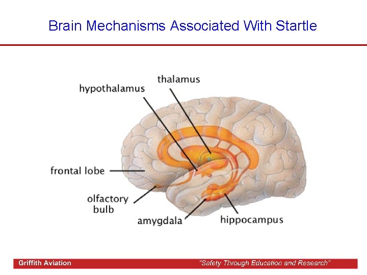 Training Interventions for Managing Startle During Unexpected Critical