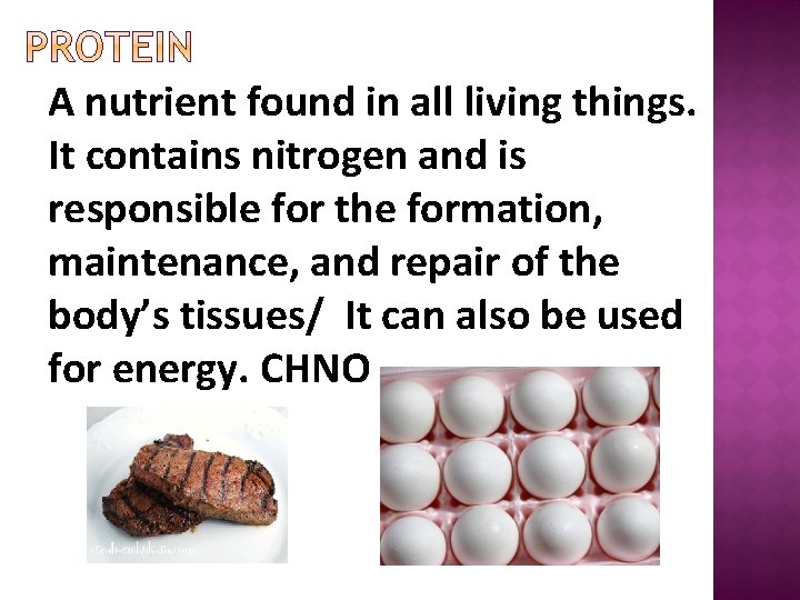 PROTEIN A nutrient found in all living things