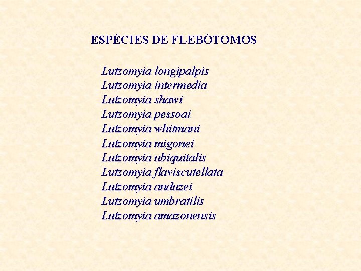 LEISHMANIOSE TEGUMENTAR AMERICANA LTA LEISHMANIOSE VISCERAL Calazar ...