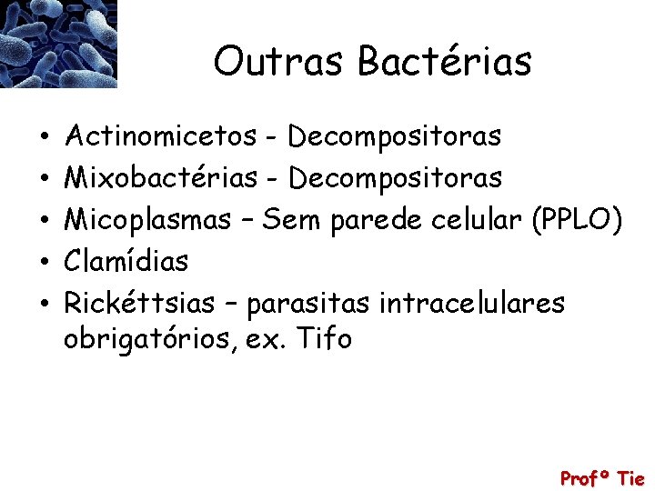 Bactrias Prof Tie Domnios Prof Tie Organizao Bacteriana