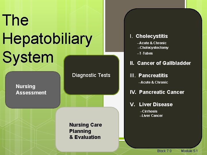 Adult Health Nursing II Block 7 0 The