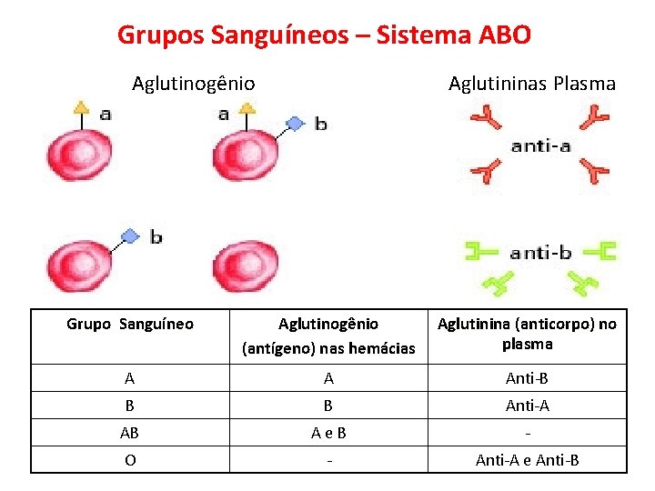 ALELOS MLTIPLOS Uma condio na qual um gene