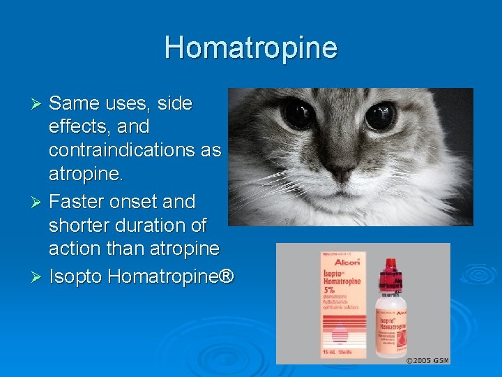 Ophthalmic and Otic Medications Chapter 18 Basic Anatomy