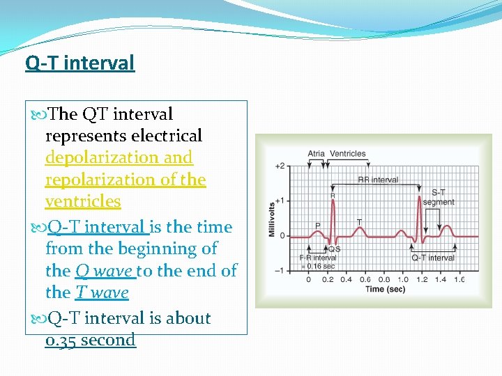 Cardiovascular System Block The Electrocardiogram ECG Prof Mona