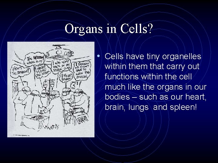What in the CELL Who discovered cells Robert