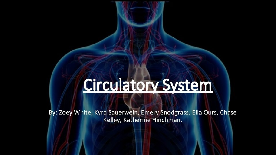Circulatory System By Zoey White Kyra Sauerwein Emery