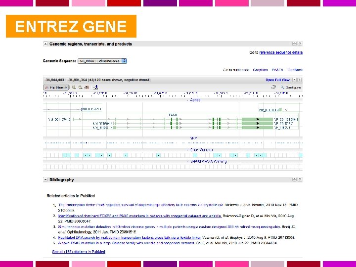 THE BIG DATA ERA Nature journal Issue of