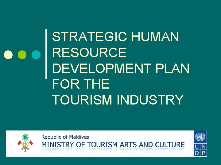 STRATEGIC HUMAN RESOURCE DEVELOPMENT PLAN FOR THE TOURISM
