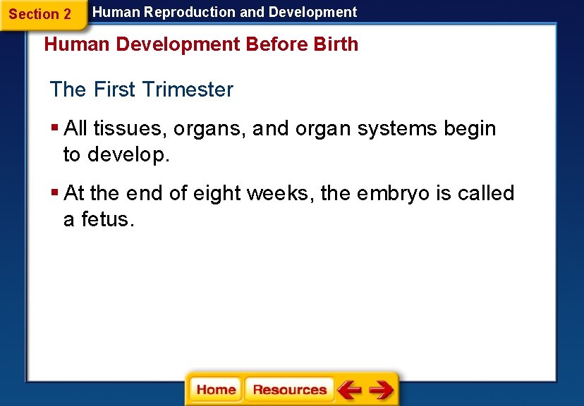 Human Reproduction and Development Section 1 Reproductive Systems