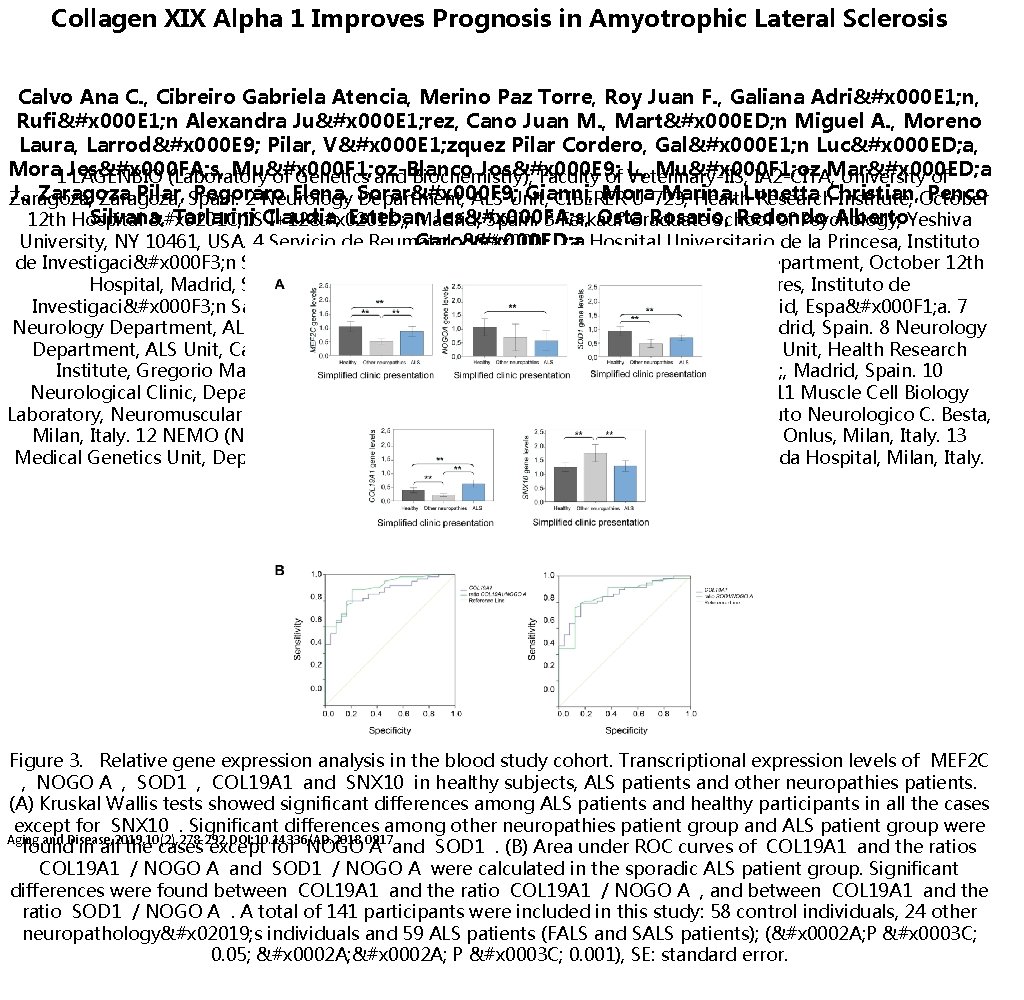 Collagen XIX Alpha 1 Improves Prognosis in Amyotrophic