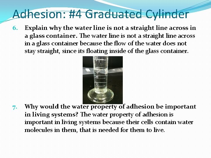 Investigating Water Lab By Dana Botavon and Neida