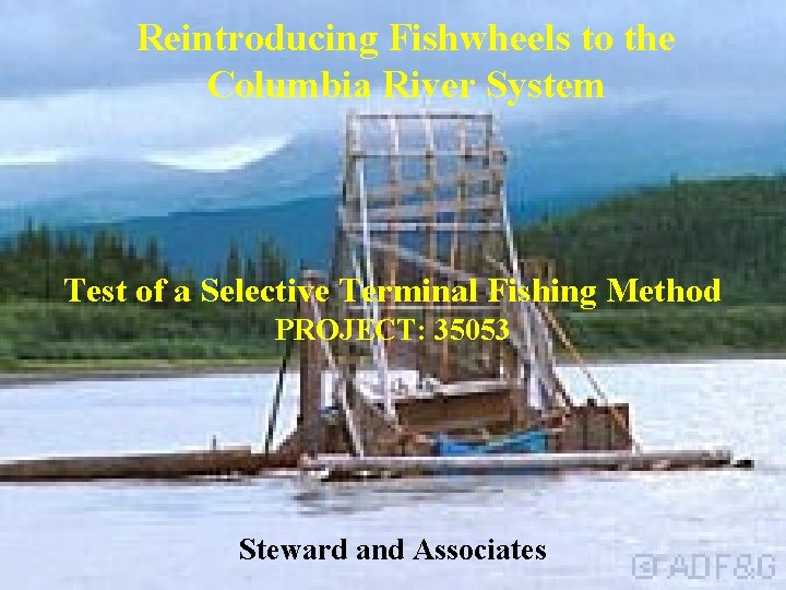 Reintroducing Fishwheels to the Columbia River System Test